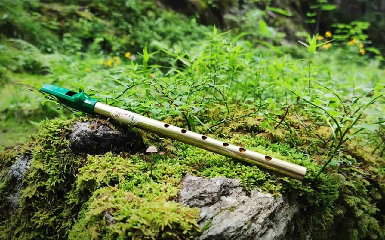 Play Tin Whistle With Raviv Stein - Play Tin Whistle with Raviv Stein