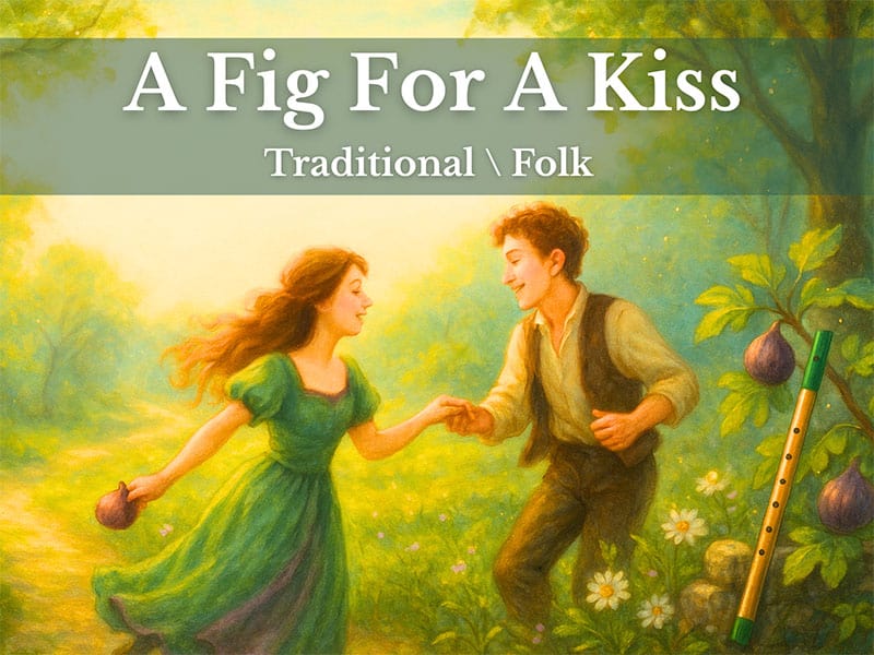 Fig For A Kiss - Play Tin Whistle with Raviv Stein